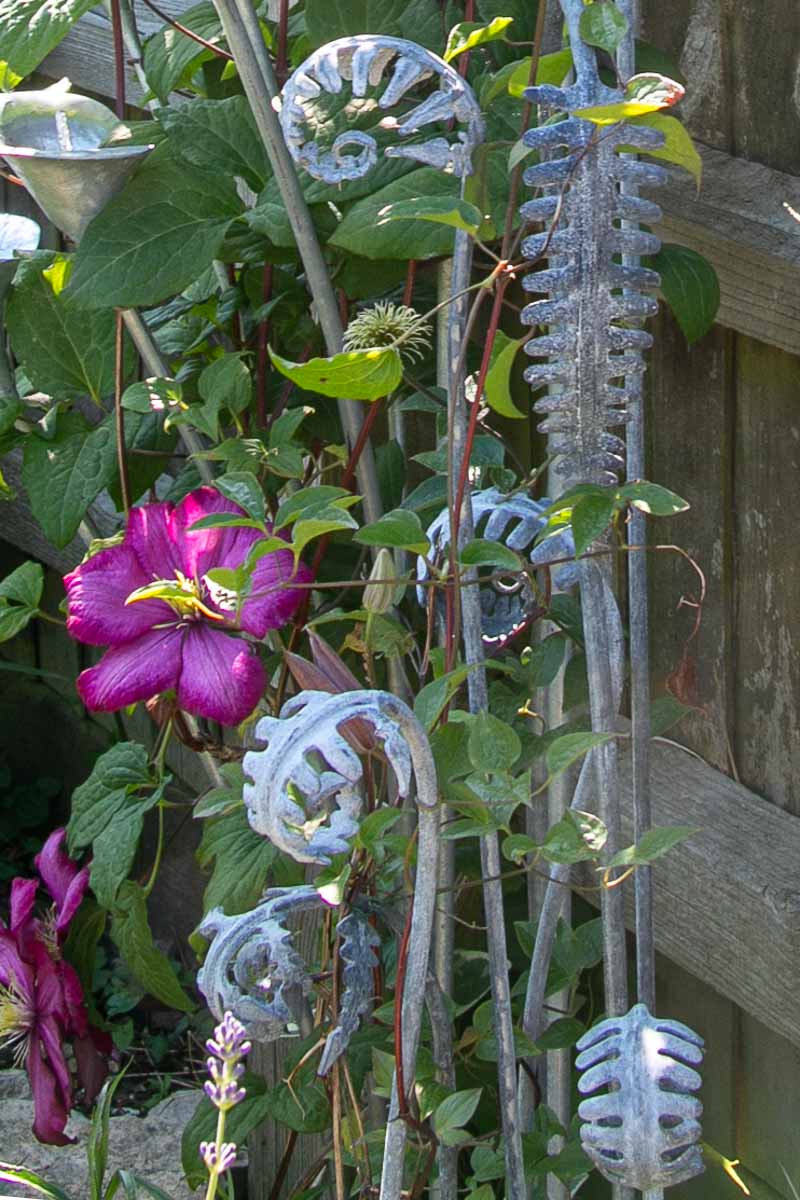 Sculptural Metal Garden Canes, Stakes and Plant Supports